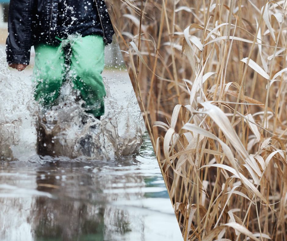 Så förbereder du dig för torka och skyfall i sommar - NSVA